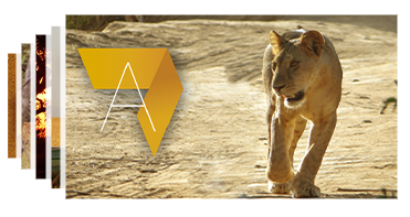 MOOC Conservation online courses - Info MOOC Conservation